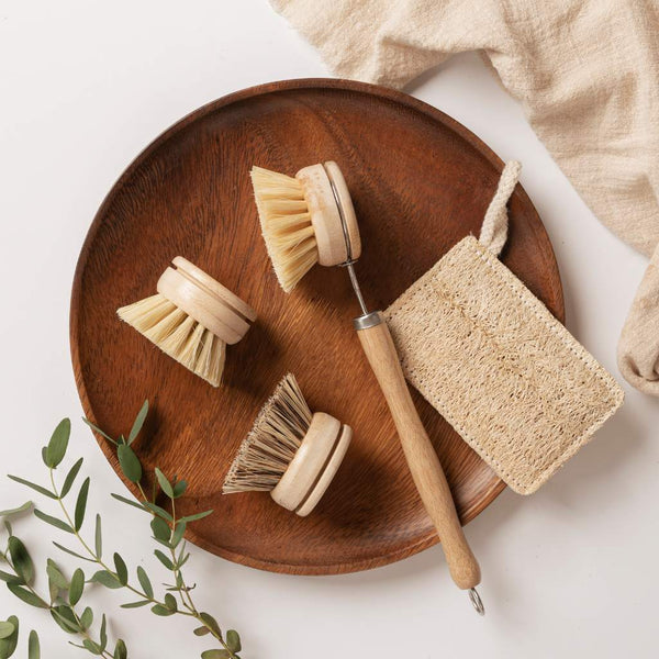 Sustainable Dish Brush Starter Set | Jungle Culture